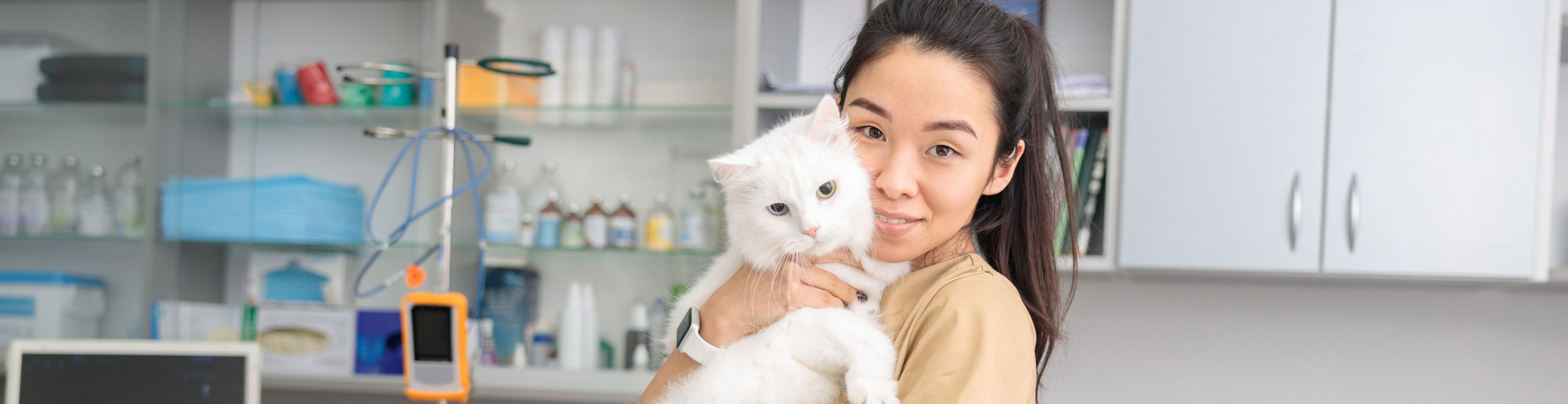 Beyond retail: Certegy’s BNPL solution makes installments accessible to ...